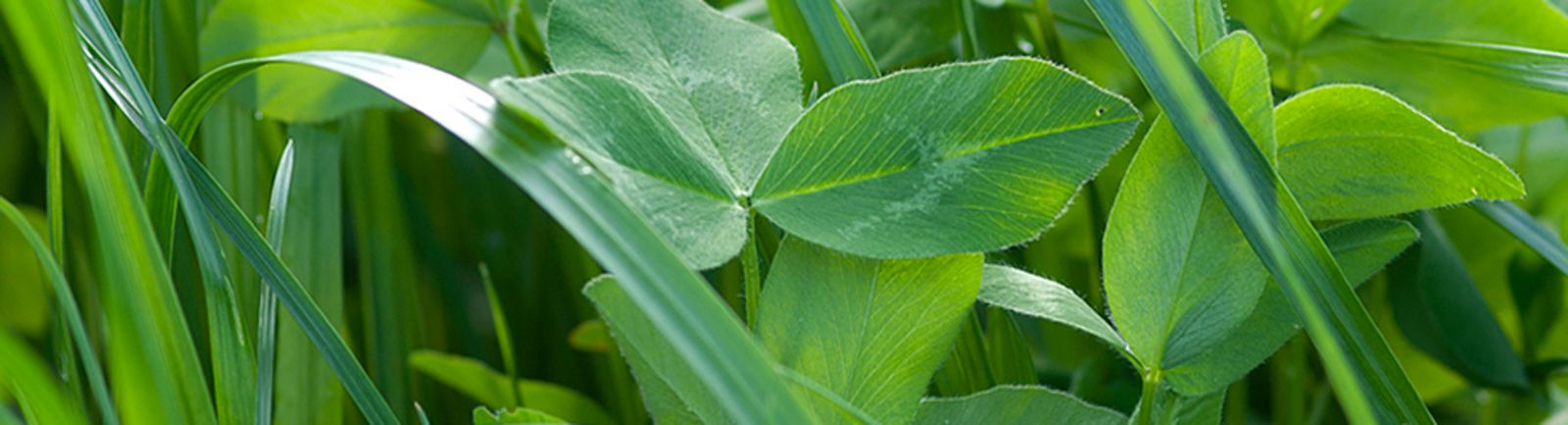 Willkommen bei der AGFF | Arbeitsgemeinschaft zur Förderung des ...