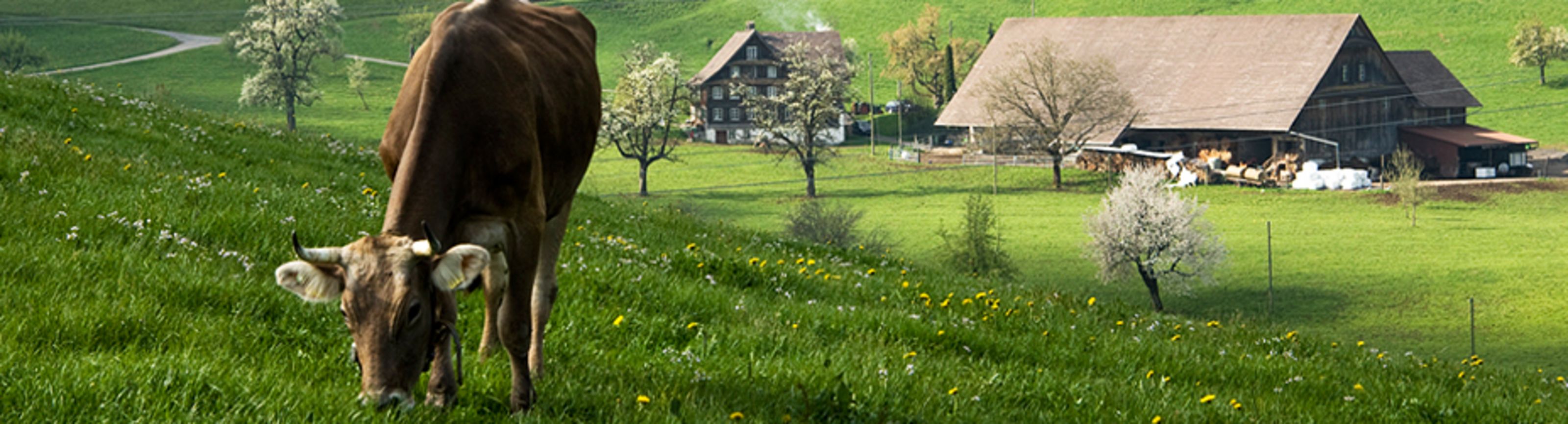 Willkommen bei der AGFF | Arbeitsgemeinschaft zur Förderung des ...